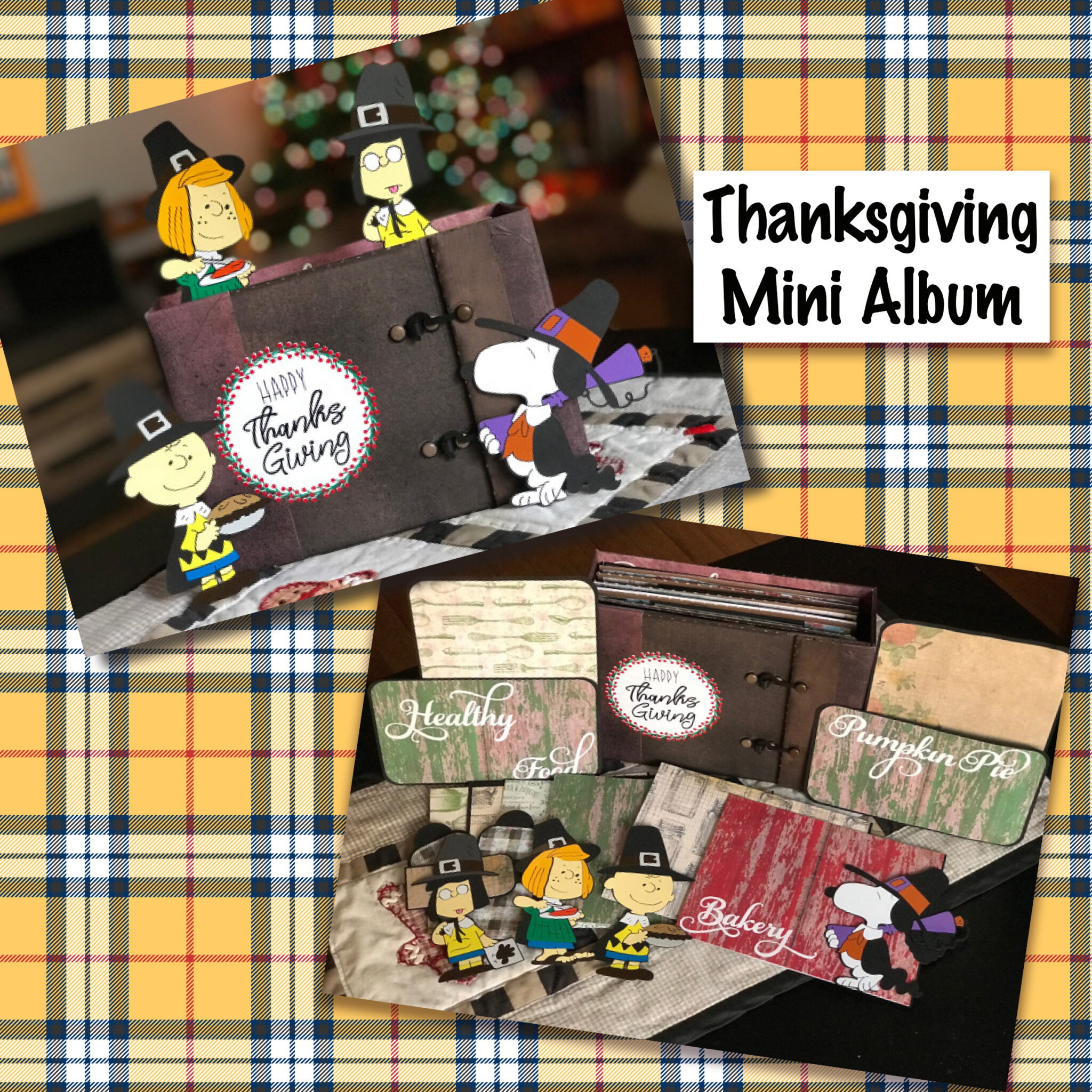 Albums and Projects – SVGCooP